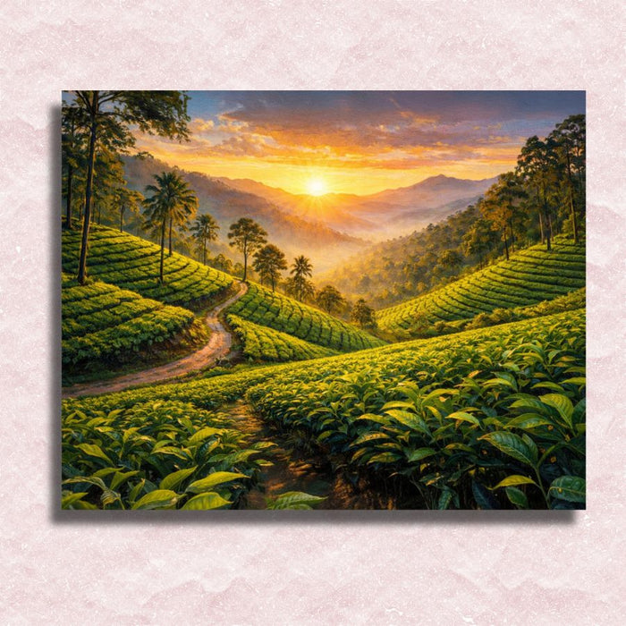 Golden Sunset Tea Hills - Paint by Numbers – Painting By Numbers Shop