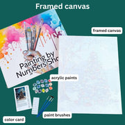 Dreaming Mermaid - Paint by Numbers Kit – Painting By Numbers Shop