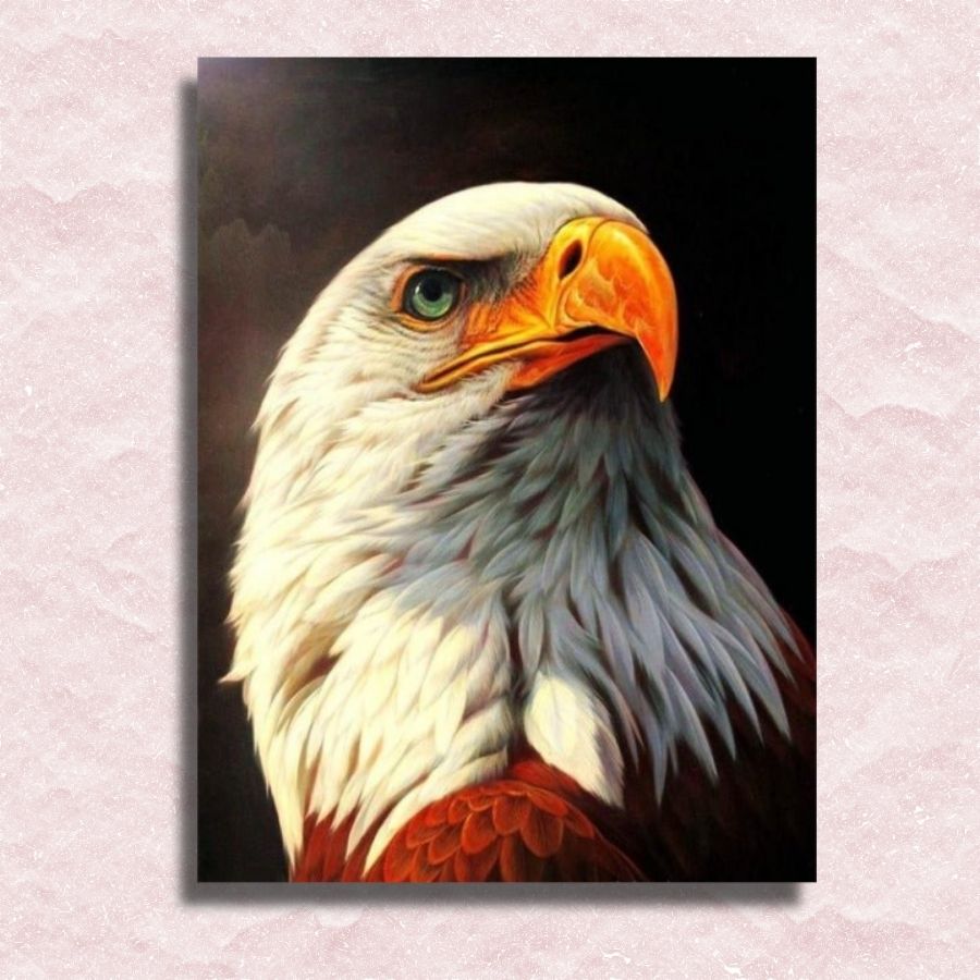 Bald Eagle - Paint by Numbers Kit – Painting By Numbers Shop